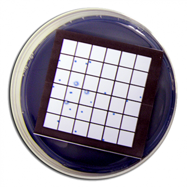 Environmental - PT. THERMALINDO SARANA LABORATORIA