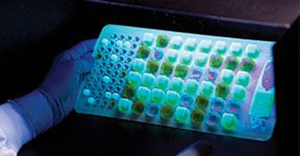 Panduan Penggunaan Colilert-18: Metode Deteksi Koliform dan E. coli ...