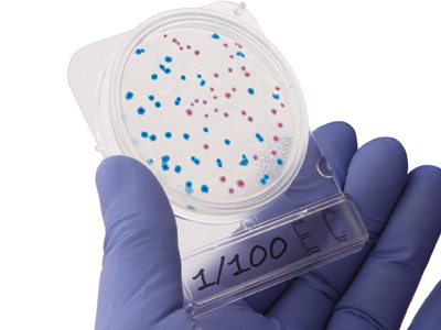 Compact Dry-1 - PT. THERMALINDO SARANA LABORATORIA